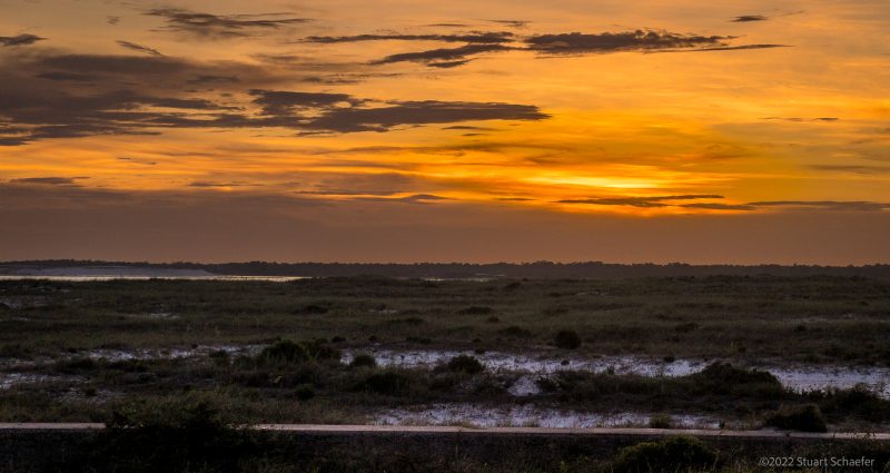 Stuart Schaefer Photography